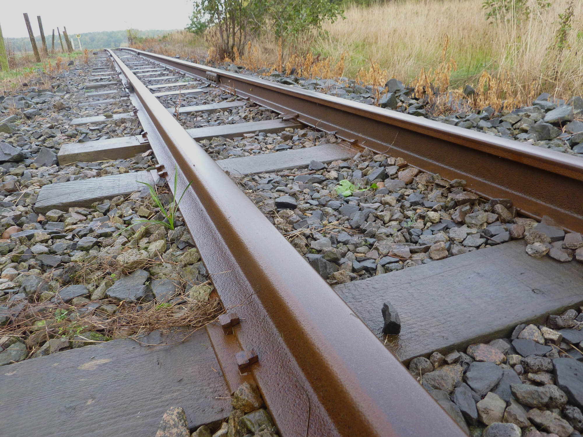 History - Woodhorn Narrow Gauge Railway